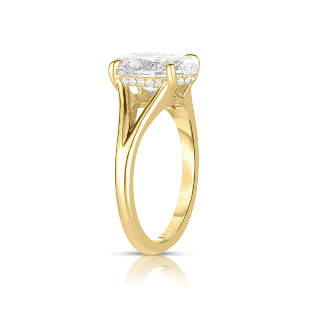 The Split Shank – Alexandra Beth